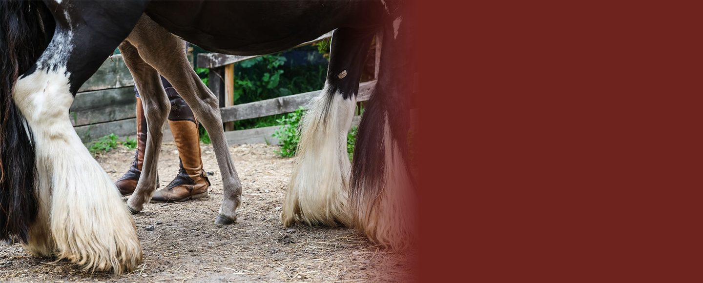 Hundleby Equestrian Centre
